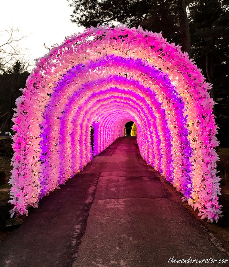 Garden of Morning Calm Light Festival - The Wander Curator