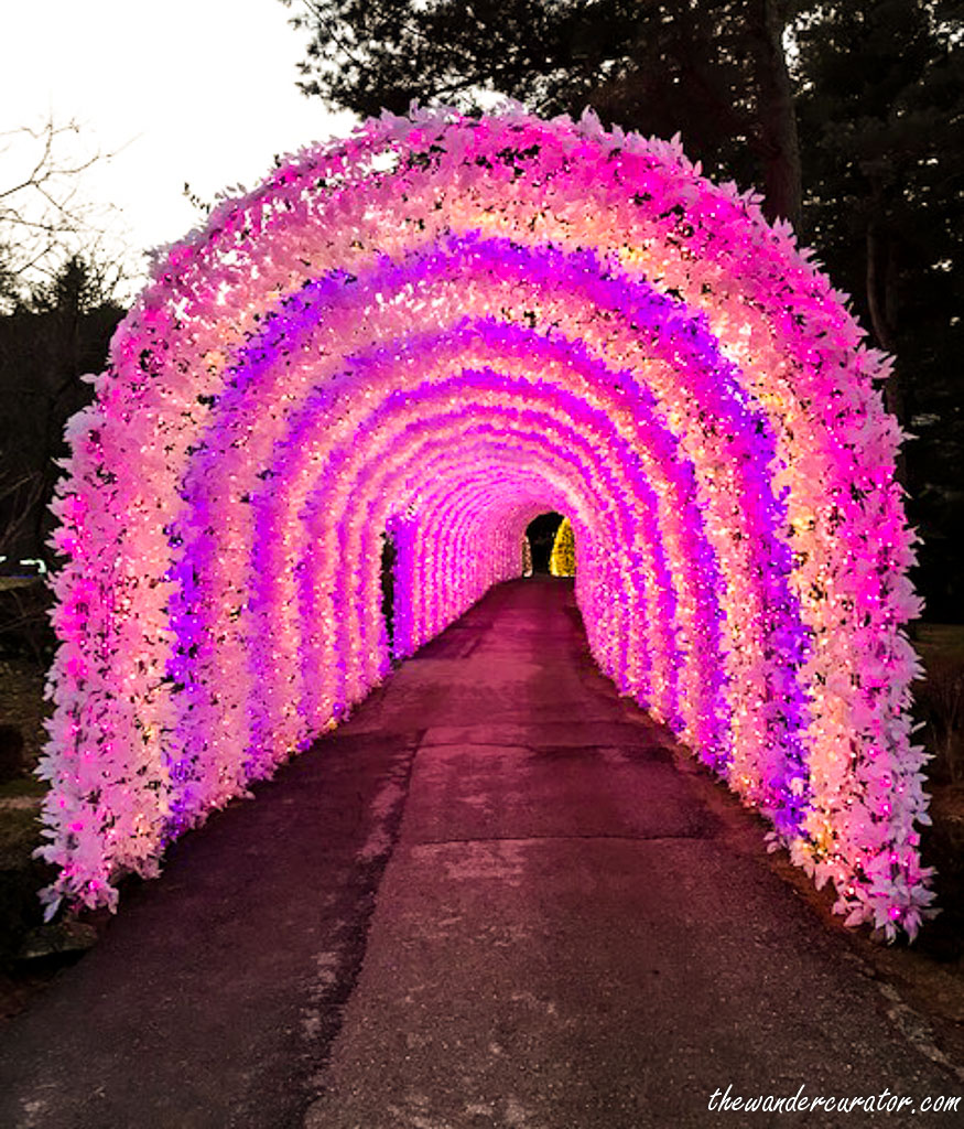 Garden of Morning Calm Light Festival - The Wander Curator